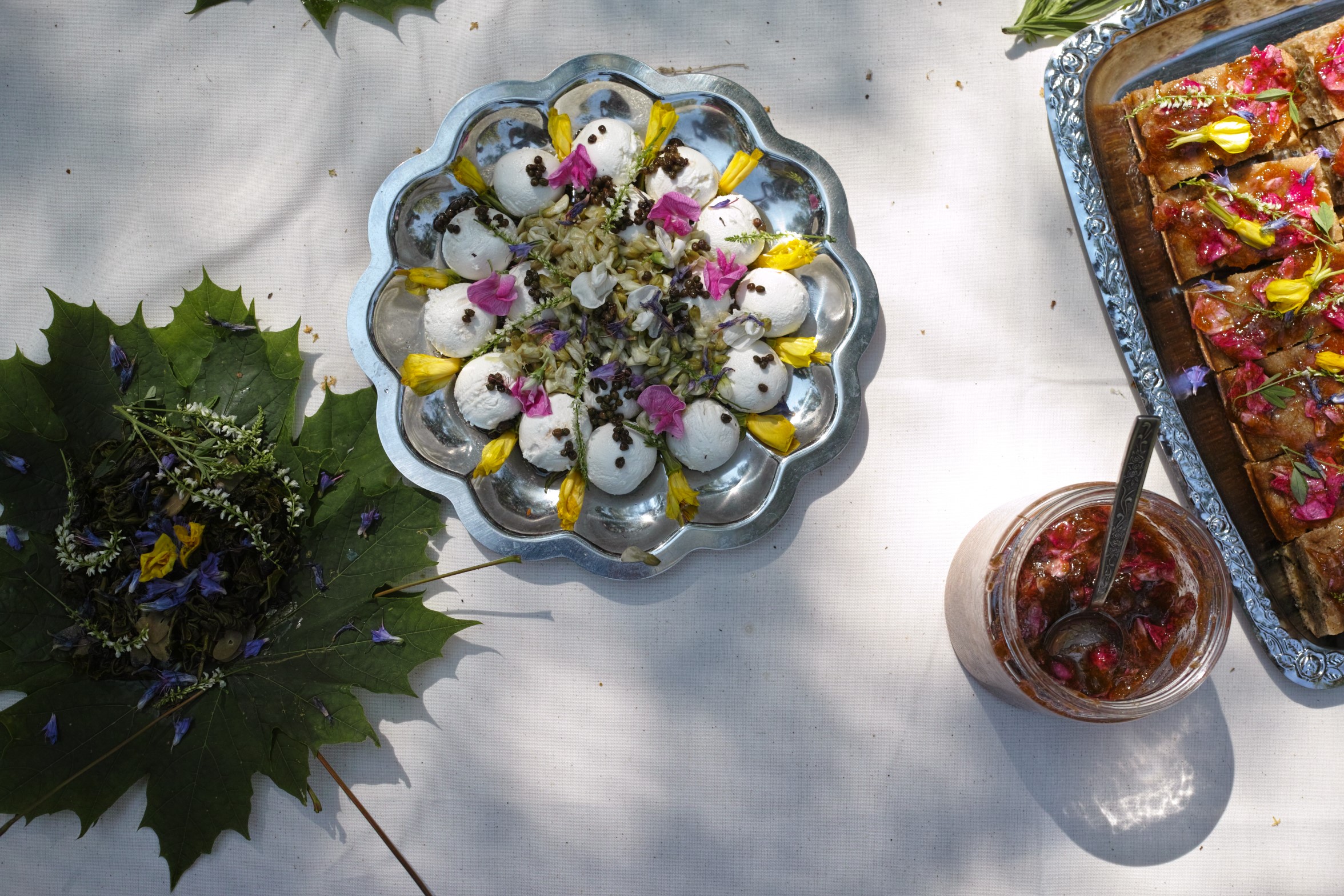 Forage and Feast with Jasmine Parsley | Museum für Naturkunde