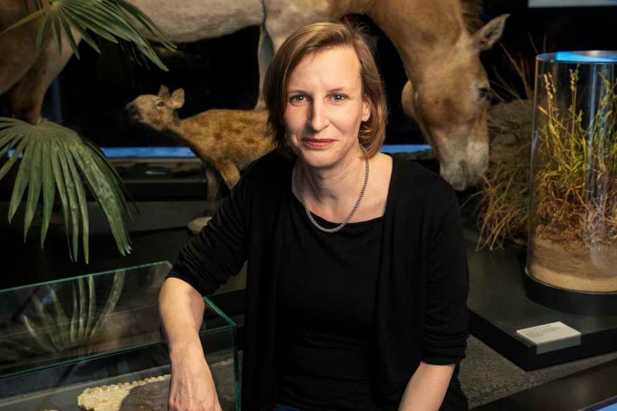 Astrid Faber: The mediator | Museum für Naturkunde