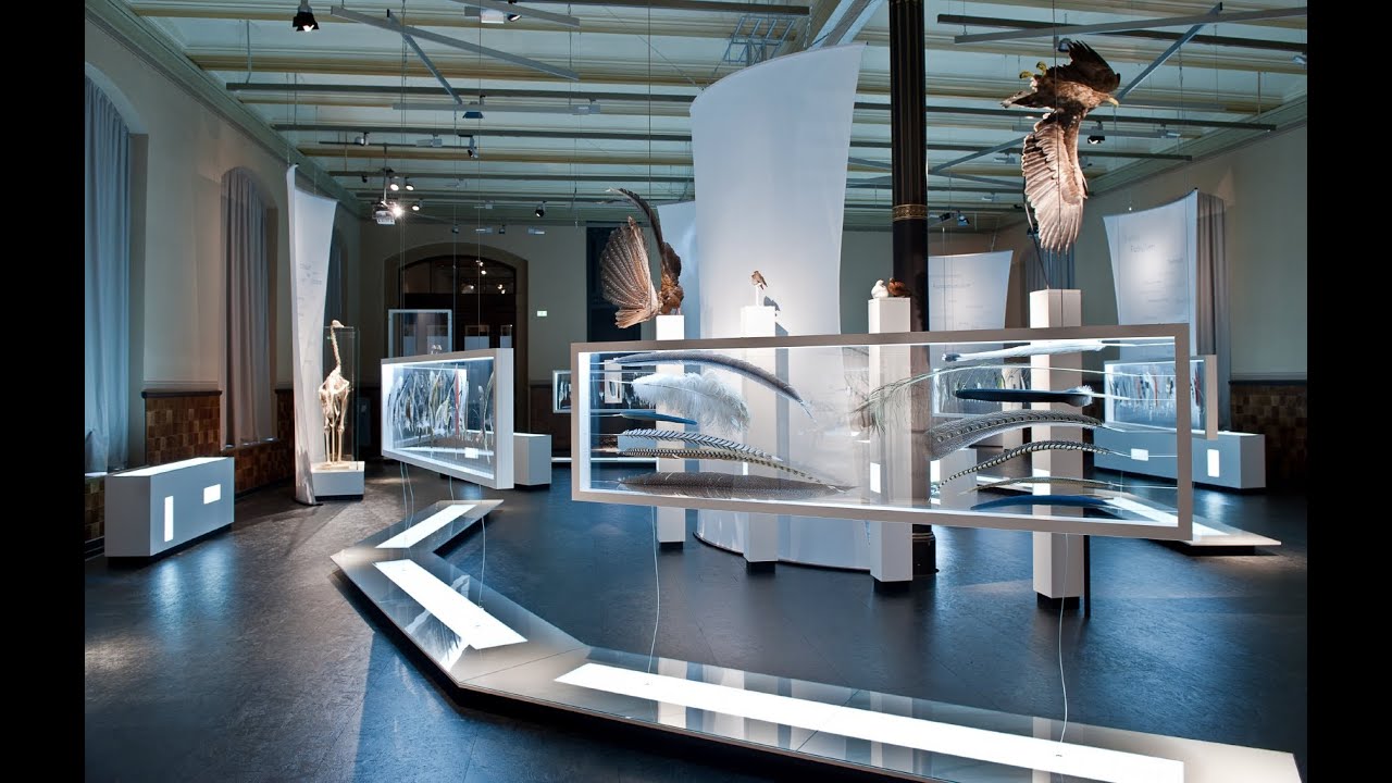 Feathered Flight - 150 Years of Archaeopteryx | Museum für Naturkunde