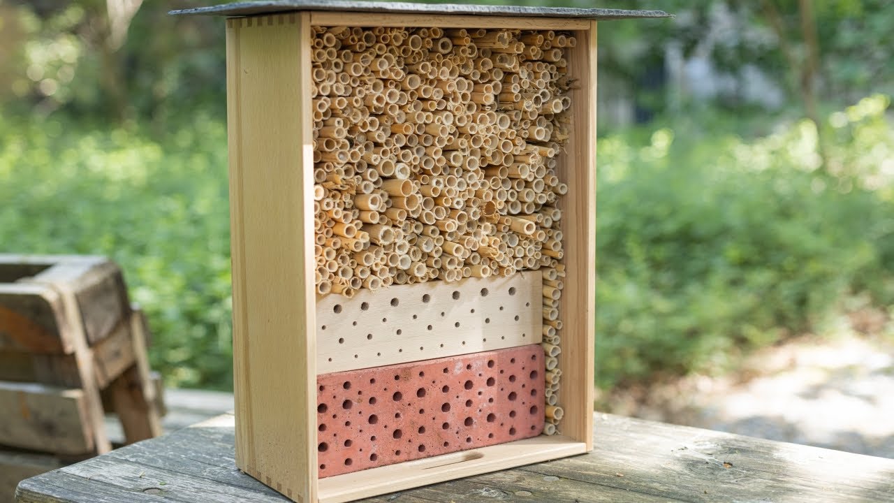 Pollinator Pathmaker: A living artwork for pollinators | Museum für ...