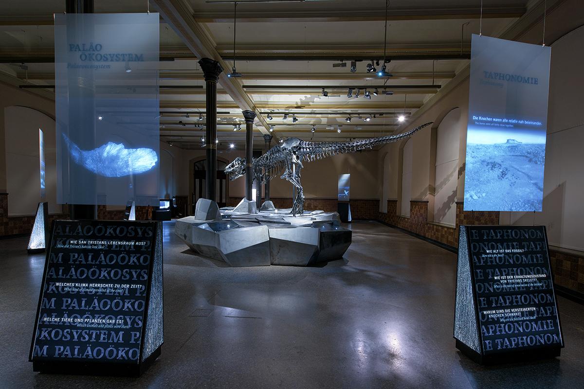 Science communication goals of an interdisciplinary exhibition team ...