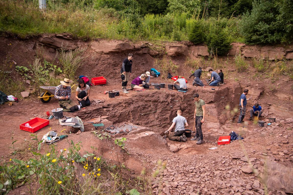 Instagram Live: BROMACKER | Museum für Naturkunde
